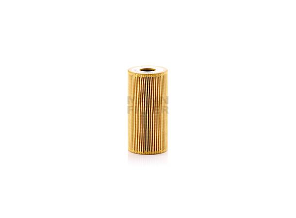 Oil filter Renault Master - LVD Lastvangdelar AS